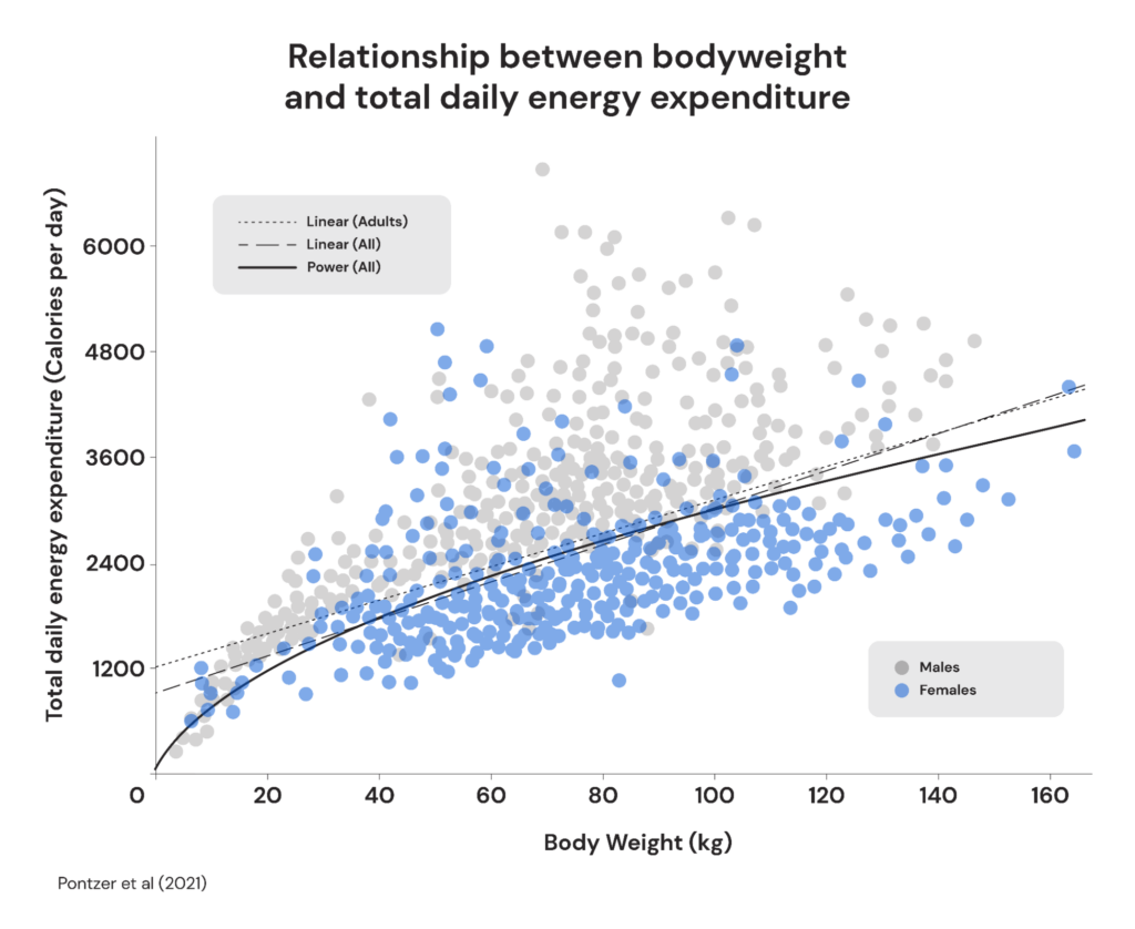 How Fast to Lose Weight When Cutting (Free Cutting Calculator)